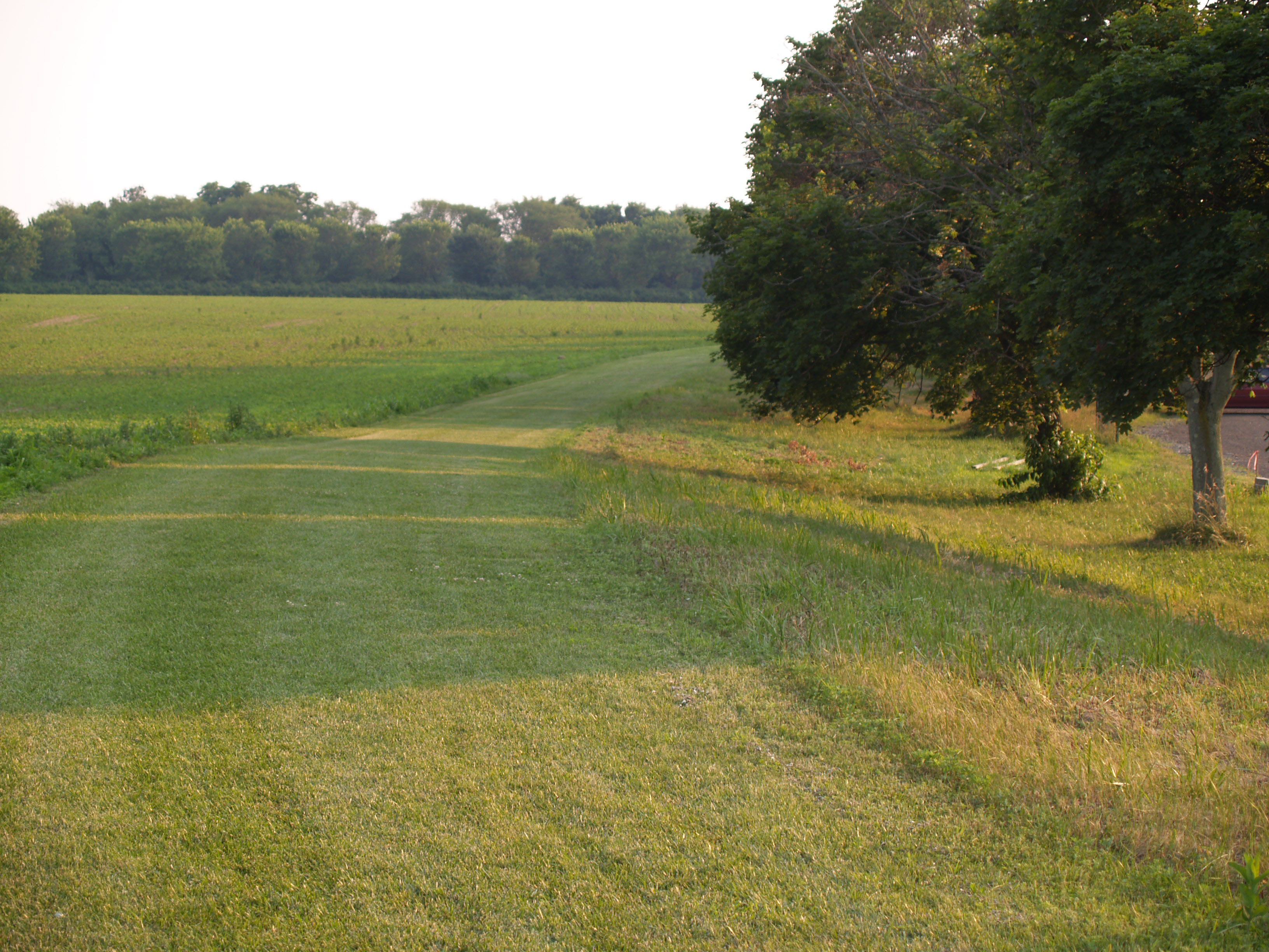 Princeton University